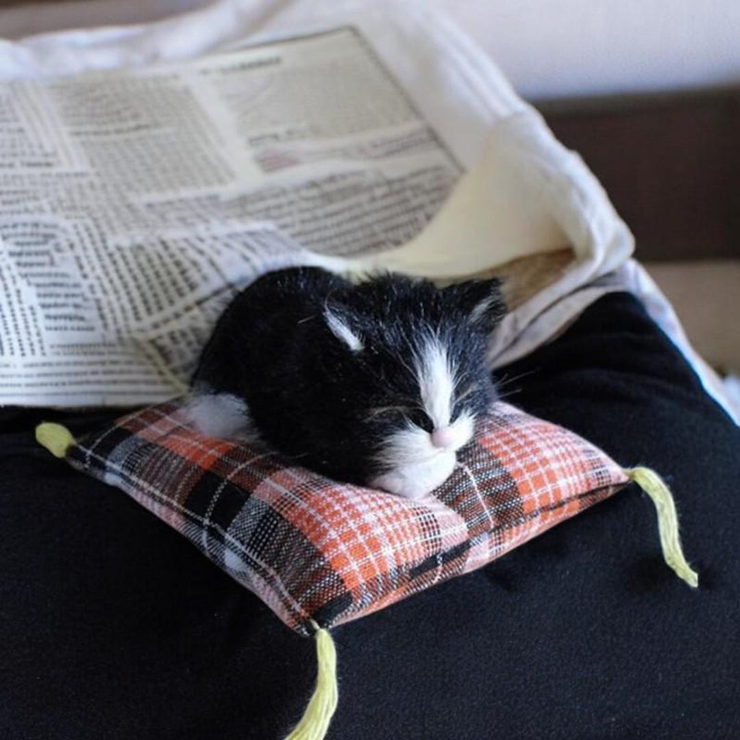 Artificial Sleeping Cat, Cute Mini Sleeping Cat, Cat Shaped Plushie ...