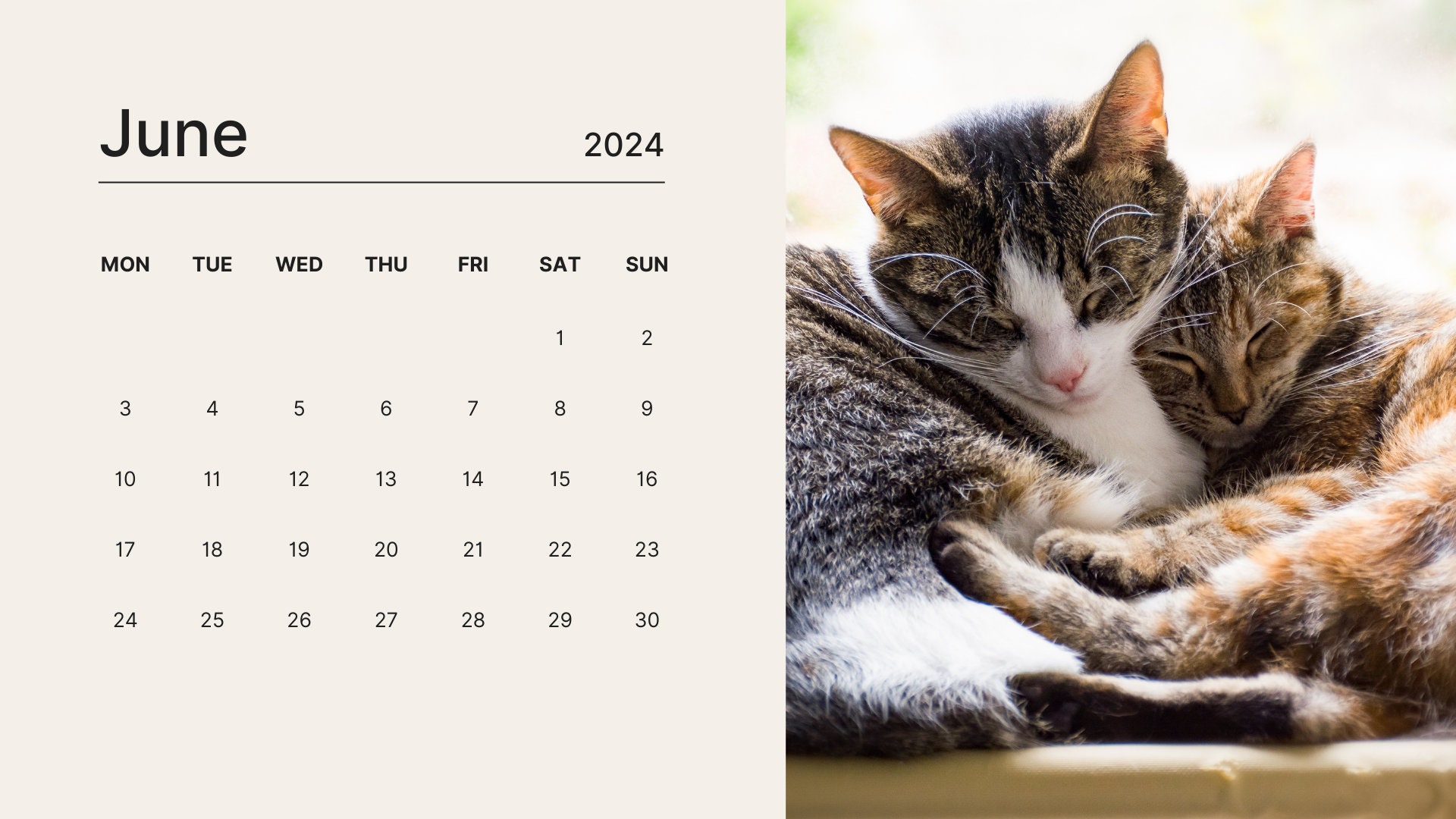 2024 Printable Calendar Cats on Your 2024 Calendar Every - Etsy