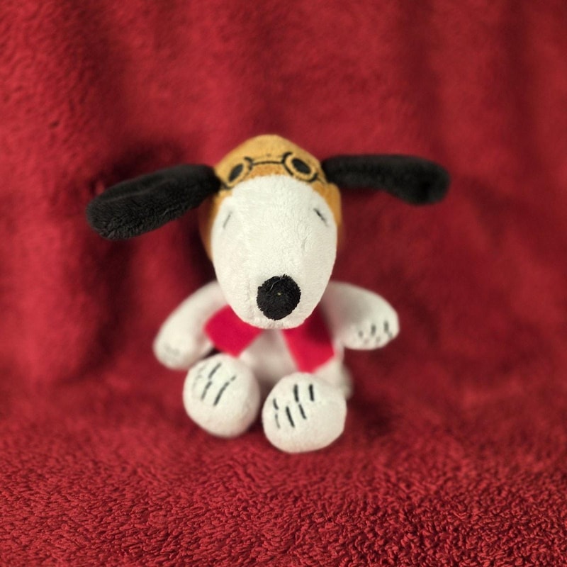 Plush Goggles - Etsy