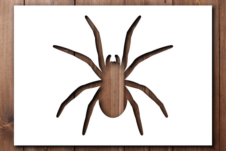 Spider Stencil 2 A4 A3 Size 190 Micron Mylar Reusable Flexible Home ...