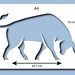 Bull Stencil A4 A3 Size 190 Micron Mylar Stencil Reusable Flexible Home ...