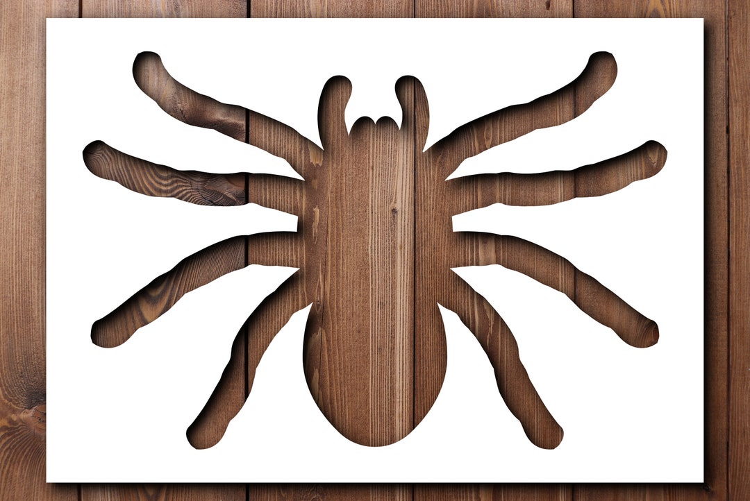 Spider Stencil 3 A4 A3 Size 190 Micron Mylar Reusable Flexible Home ...