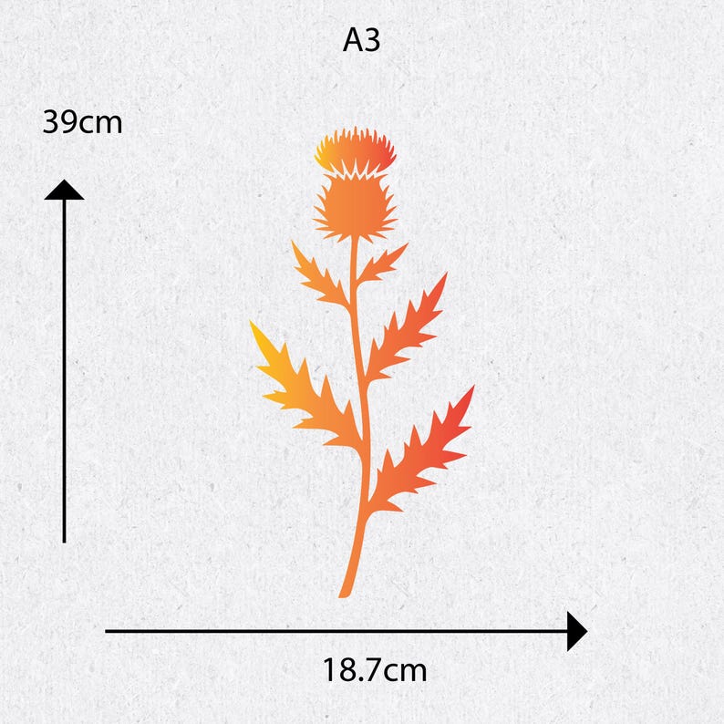 Scottish Thistle Stencil – Reusable Mylar Template for Painting on Wood ...