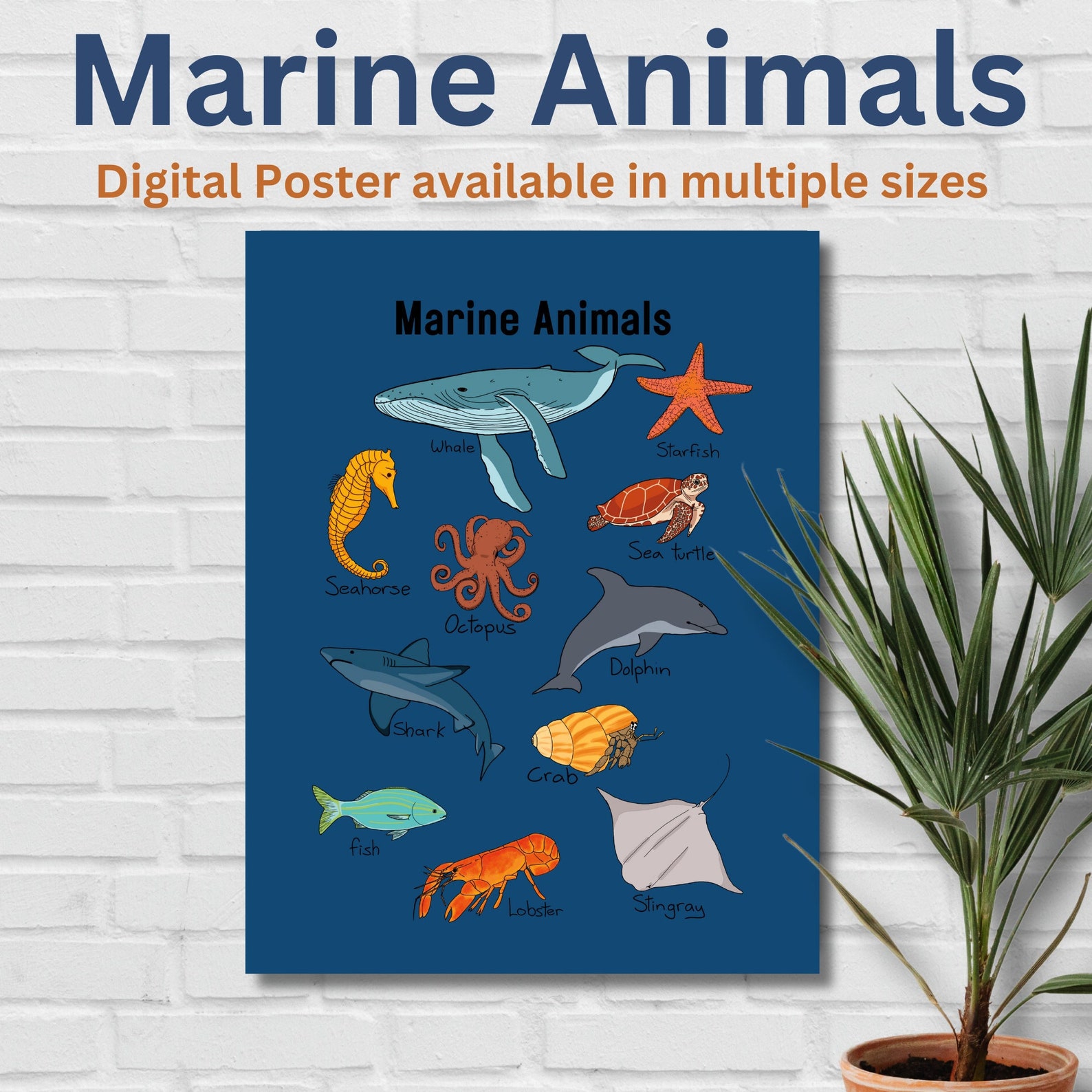 Marine Animals Poster for Classroom or Homeschool Decor, Ocean Animals ...