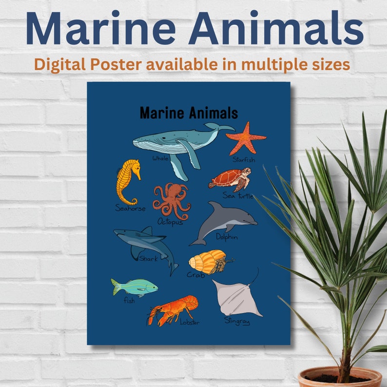 Marine Animals Poster for Classroom or Homeschool Decor, Ocean Animals ...