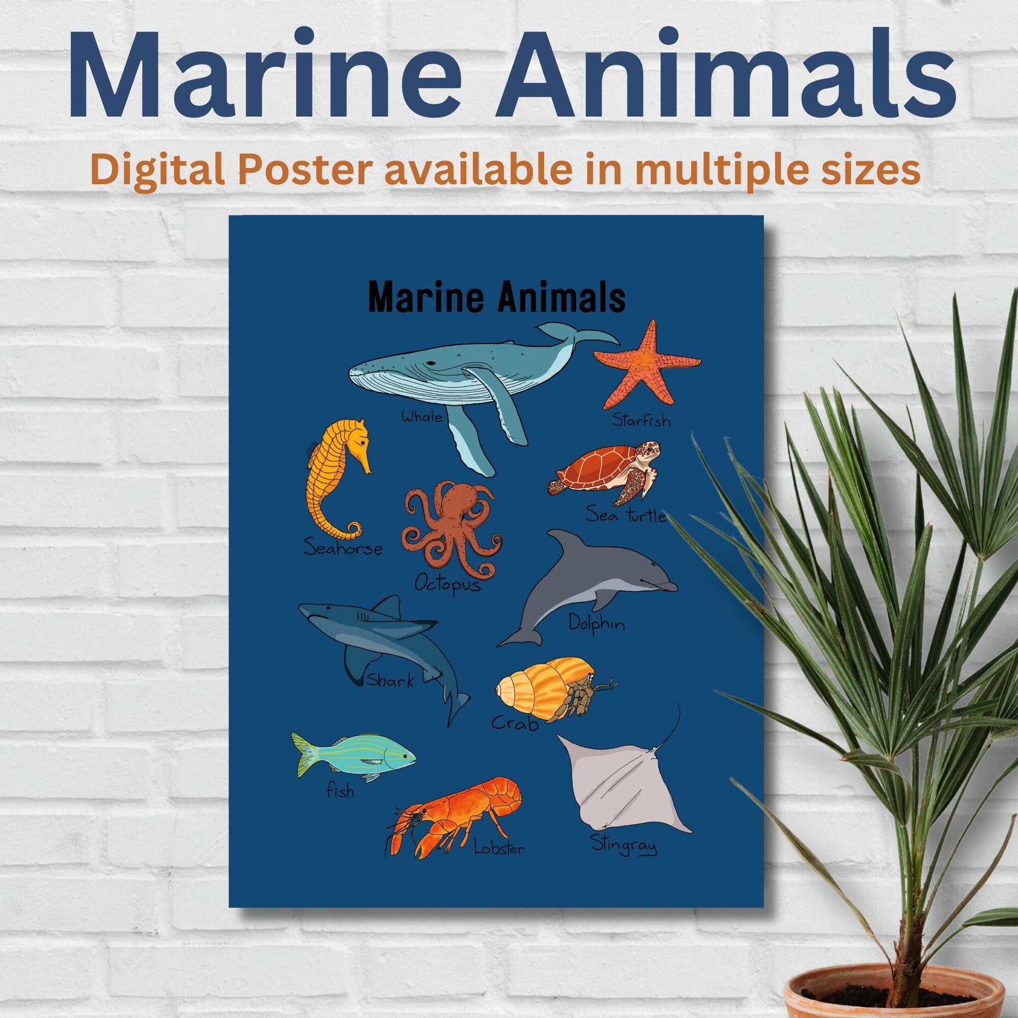 Marine Animals Poster for Classroom or Homeschool Decor, Ocean Animals ...