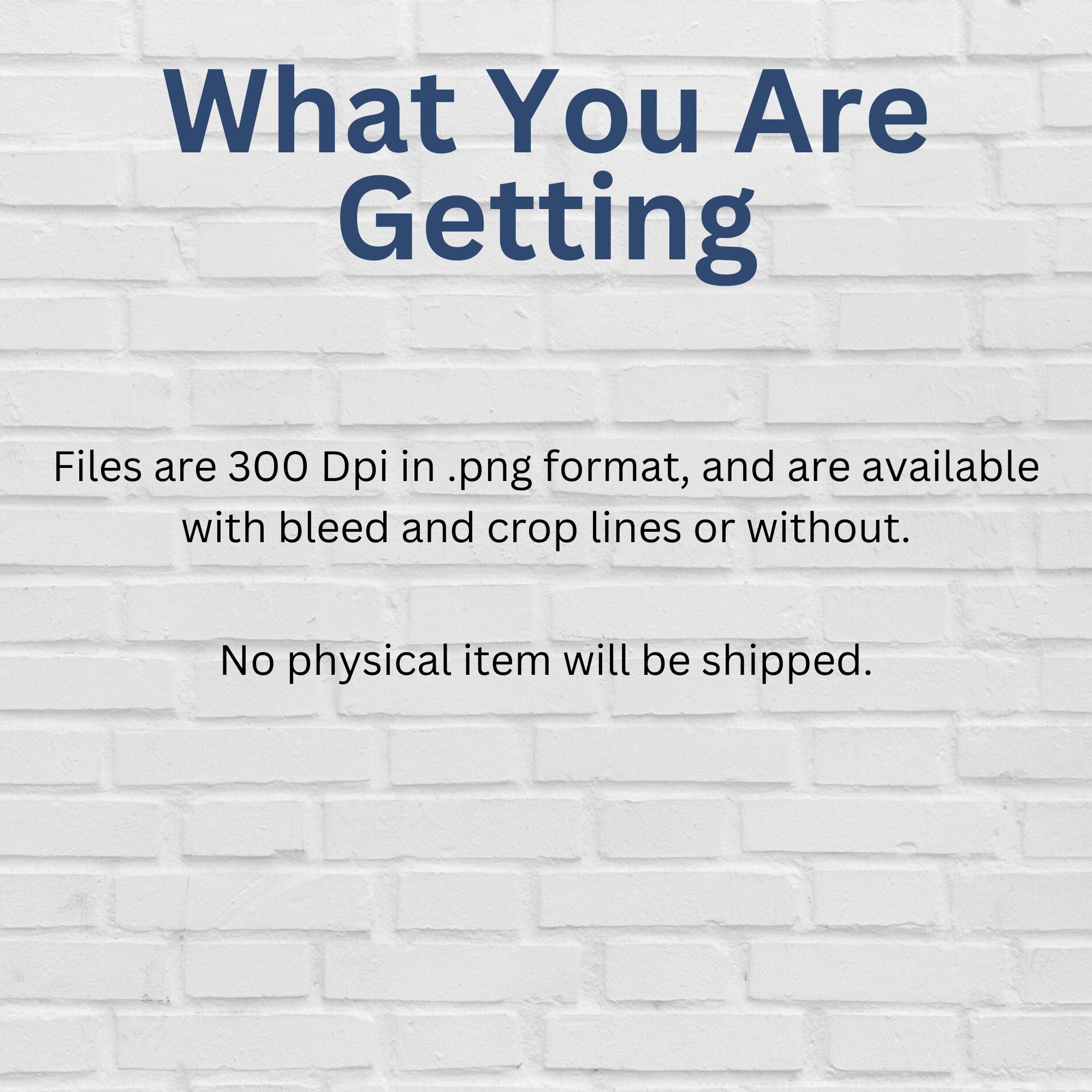 Marine Animals Poster for Classroom or Homeschool Decor, Ocean Animals ...