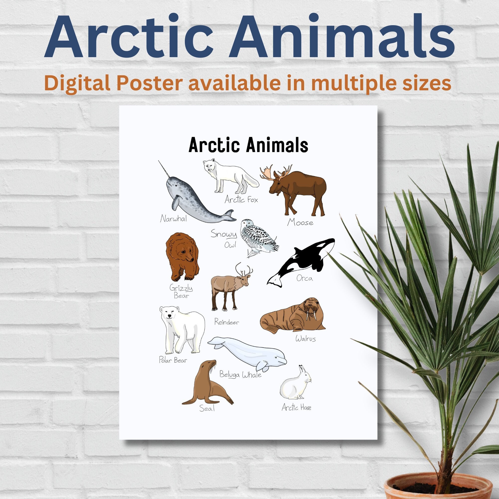 Arctic Animals Poster for Classroom or Homeschool Decor, Arctic Tundra ...