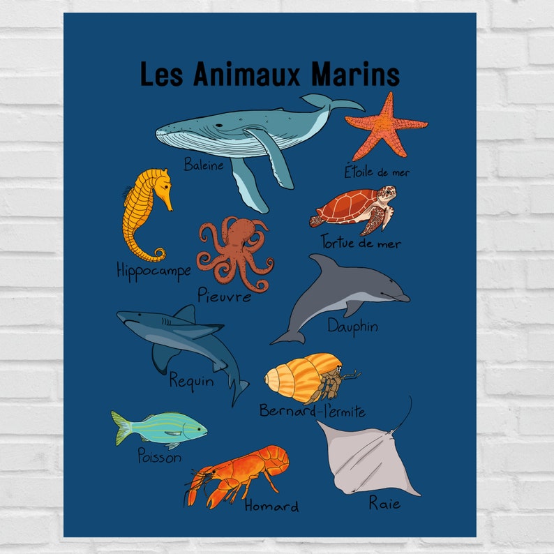 FRENCH Marine Animals Poster for Wall Art or Classroom Decor. Ocean ...