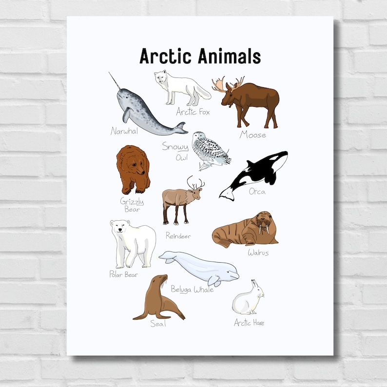 Arctic Animals Poster for Classroom or Homeschool Decor, Arctic Tundra ...