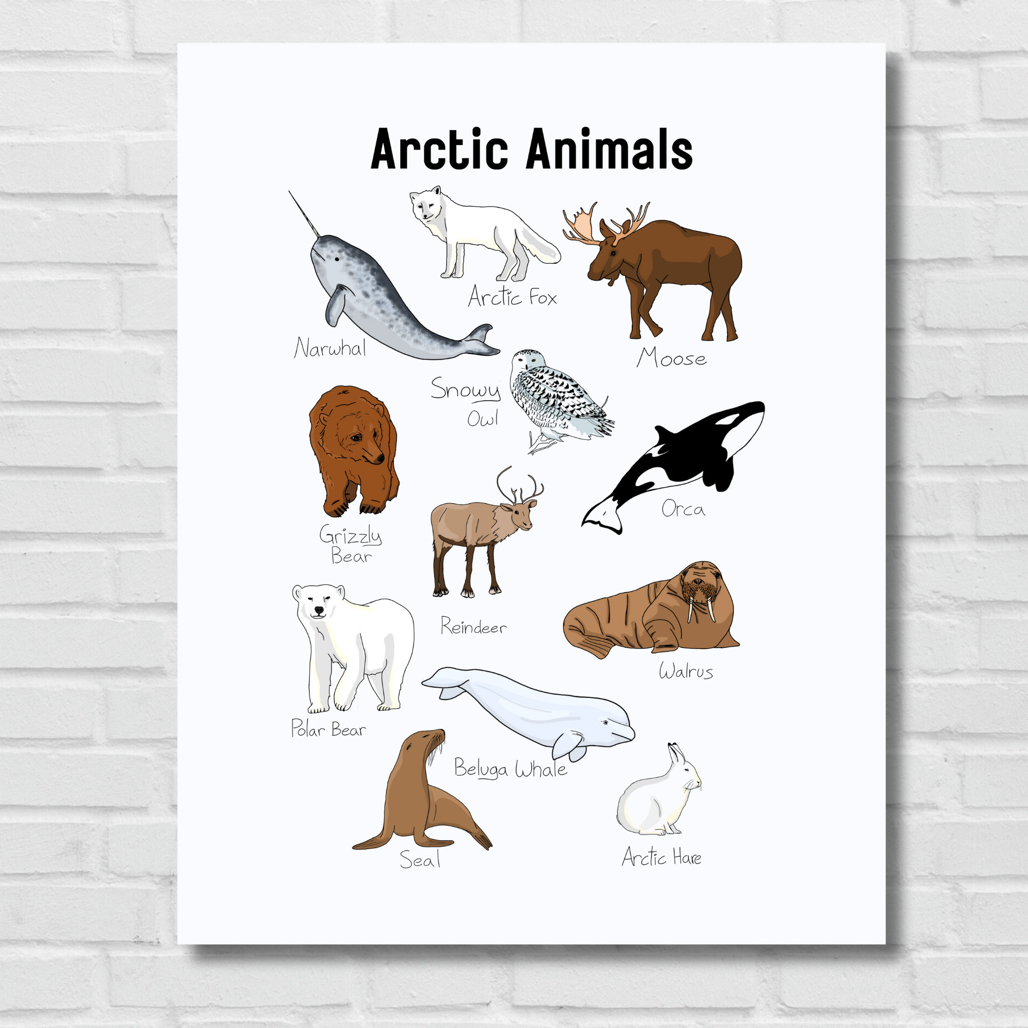 Arctic Animals Poster for Classroom or Homeschool Decor, Arctic Tundra ...