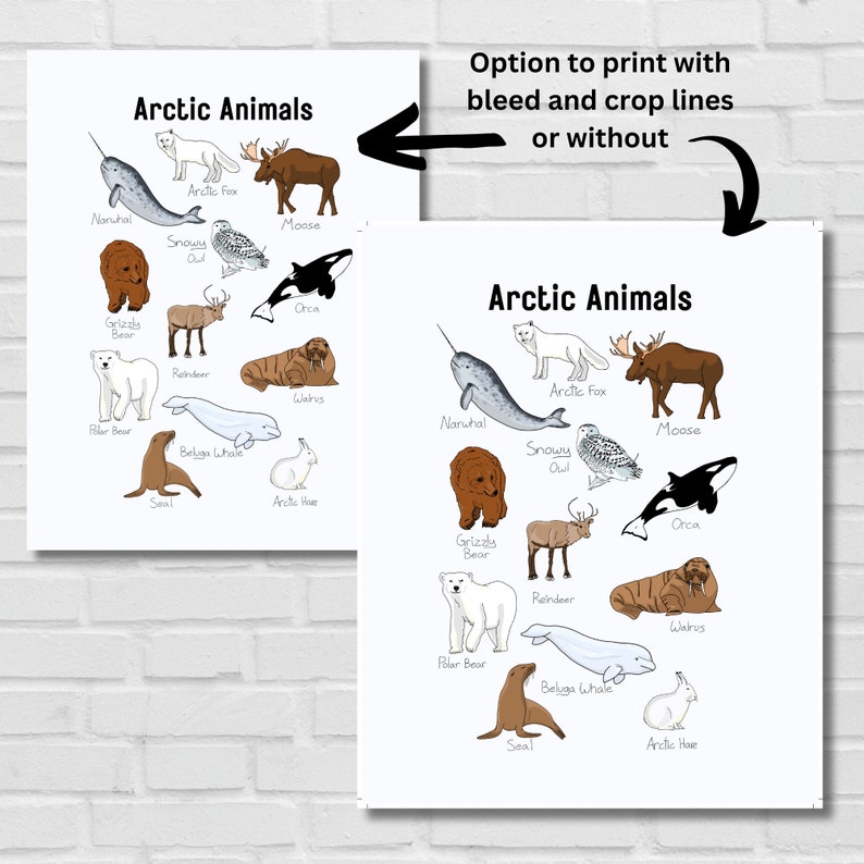 Arctic Animals Poster for Classroom or Homeschool Decor, Arctic Tundra ...
