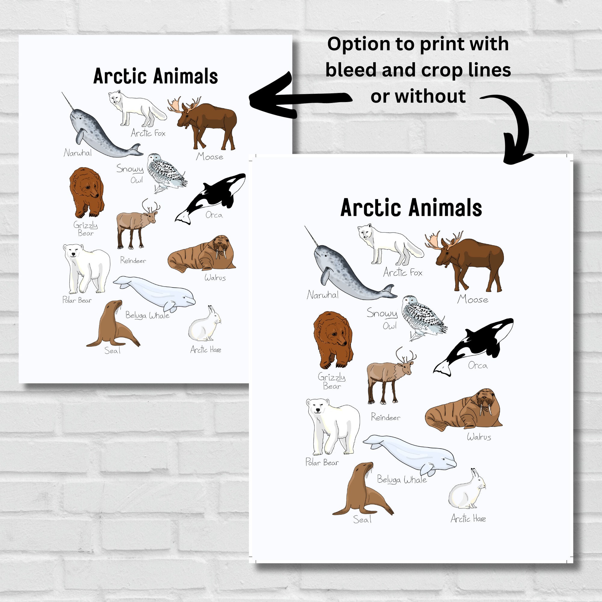 Arctic Animals Poster for Classroom or Homeschool Decor, Arctic Tundra ...