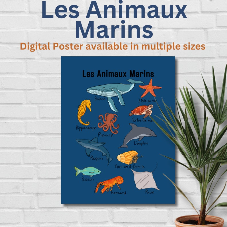 FRENCH Marine Animals Poster for Wall Art or Classroom Decor. Ocean ...