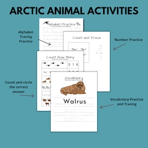 Arctic Animal Worksheets and Activity Sheets for Kids, Winter Animals ...