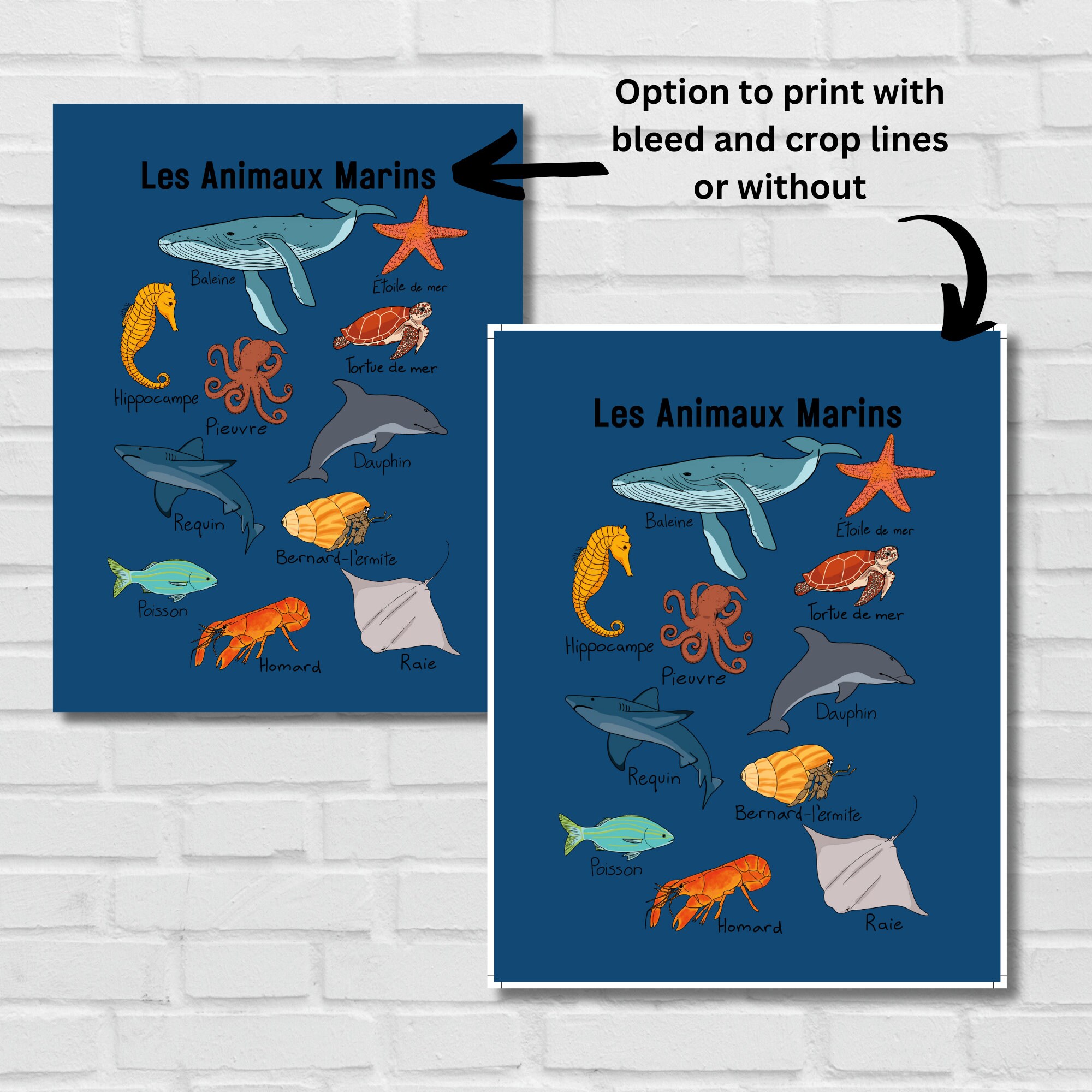 FRENCH Marine Animals Poster for Wall Art or Classroom Decor. Ocean ...