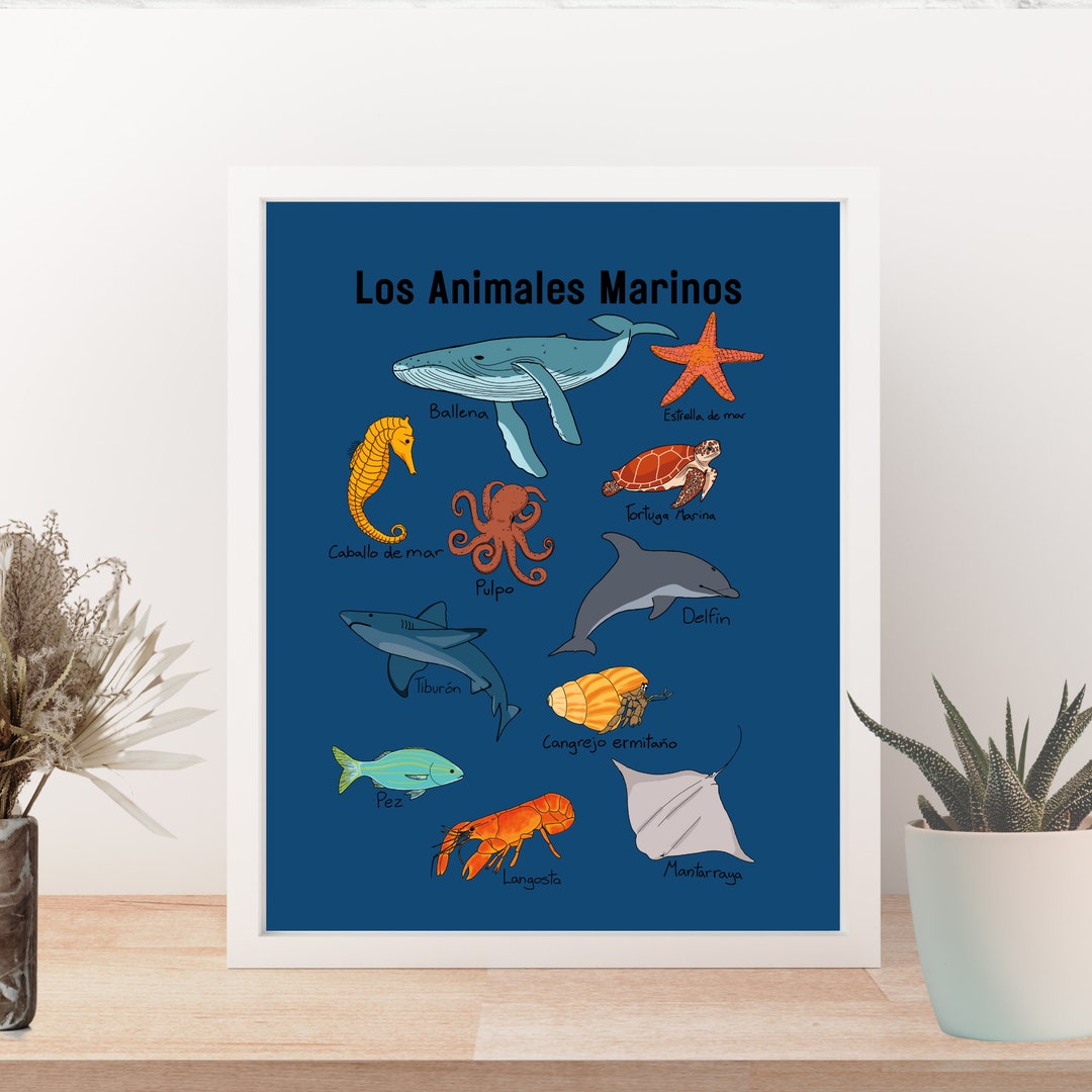 SPANISH Marine Animals Poster for Wall Art or Classroom Decor. Ocean ...