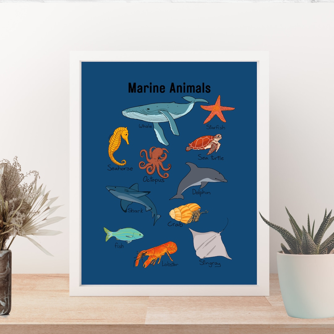 Marine Animals Poster for Classroom or Homeschool Decor, Ocean Animals ...