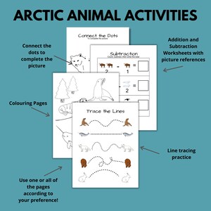 Arctic Animal Worksheets and Activity Sheets for Kids, Winter Animals ...