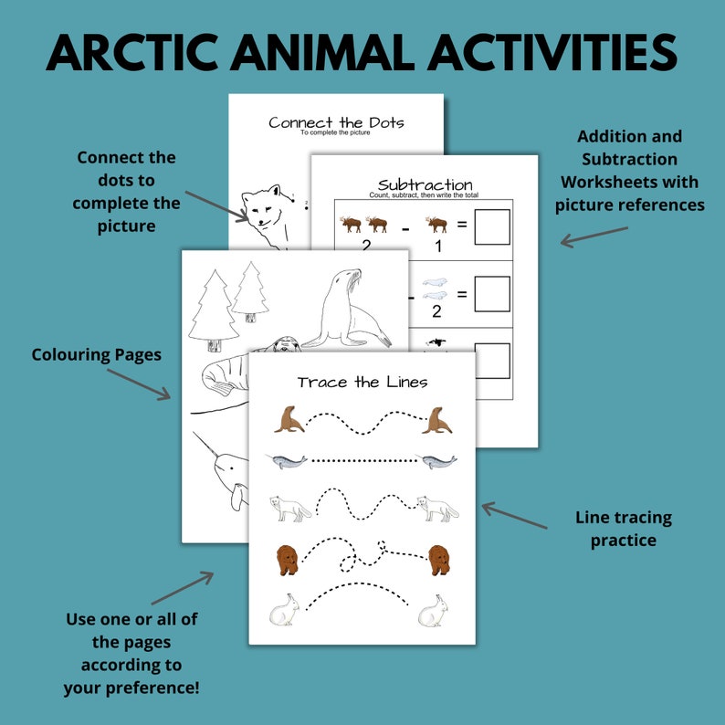 Arctic Animal Worksheets and Activity Sheets for Kids, Winter Animals ...