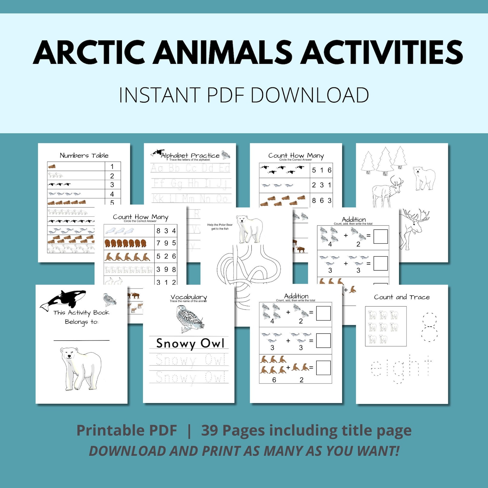 Arctic Animal Worksheets and Activity Sheets for Kids, Winter Animals ...