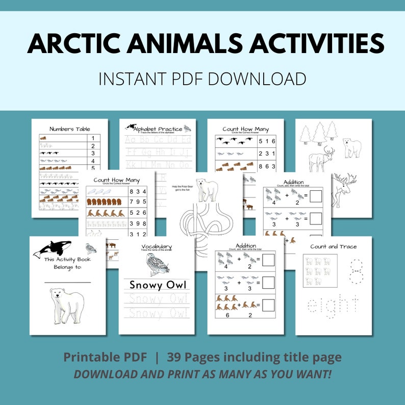 Arctic Animal Worksheets and Activity Sheets for Kids, Winter Animals ...
