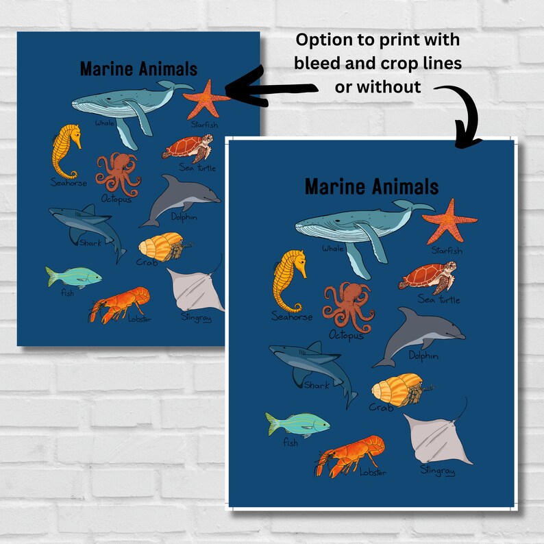 Marine Animals Poster for Classroom or Homeschool Decor, Ocean Animals ...