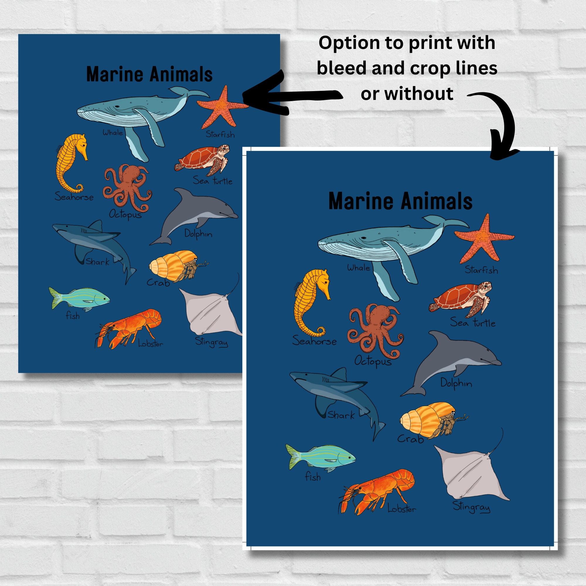 Marine Animals Poster for Classroom or Homeschool Decor, Ocean Animals ...