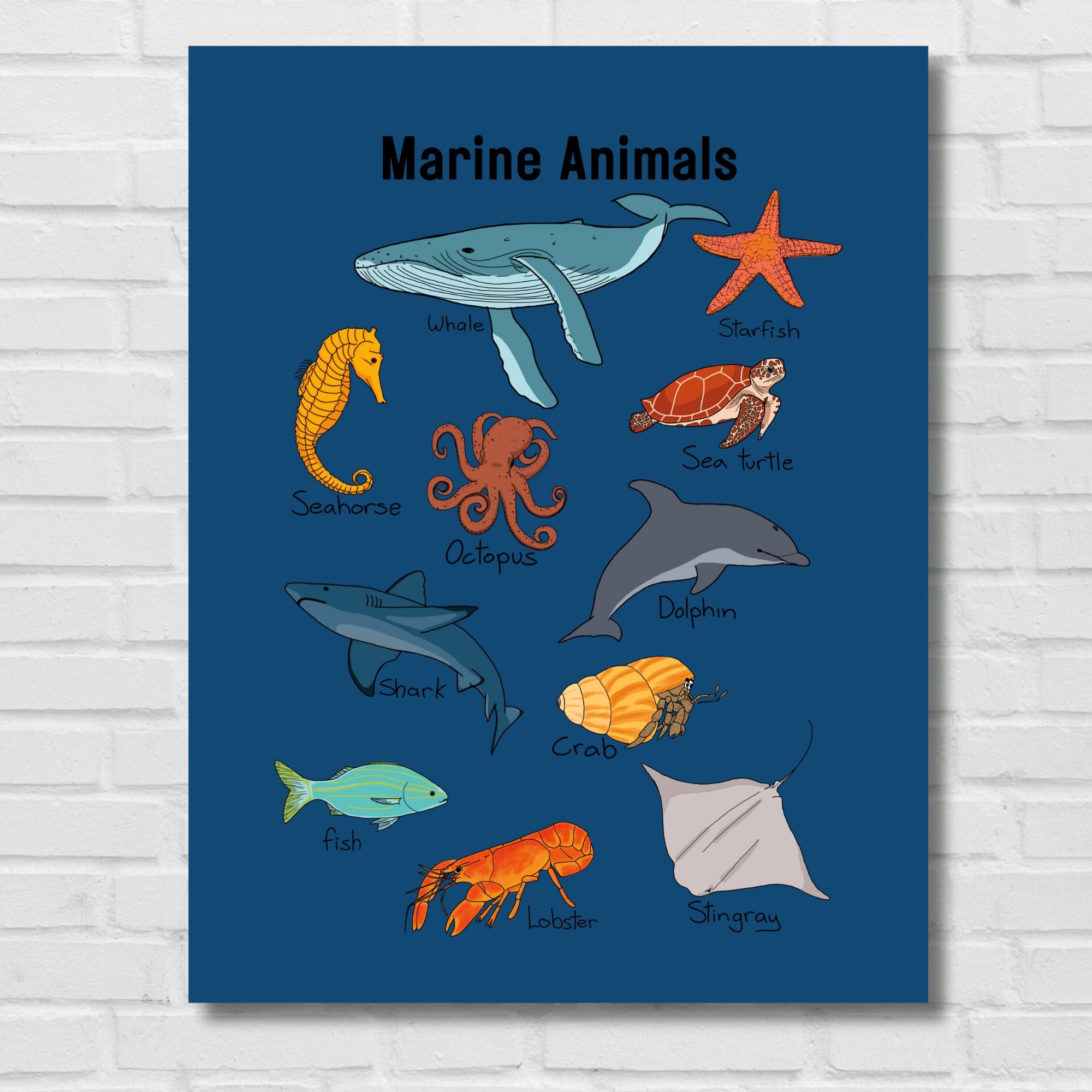 Marine Animals Poster for Classroom or Homeschool Decor, Ocean Animals ...