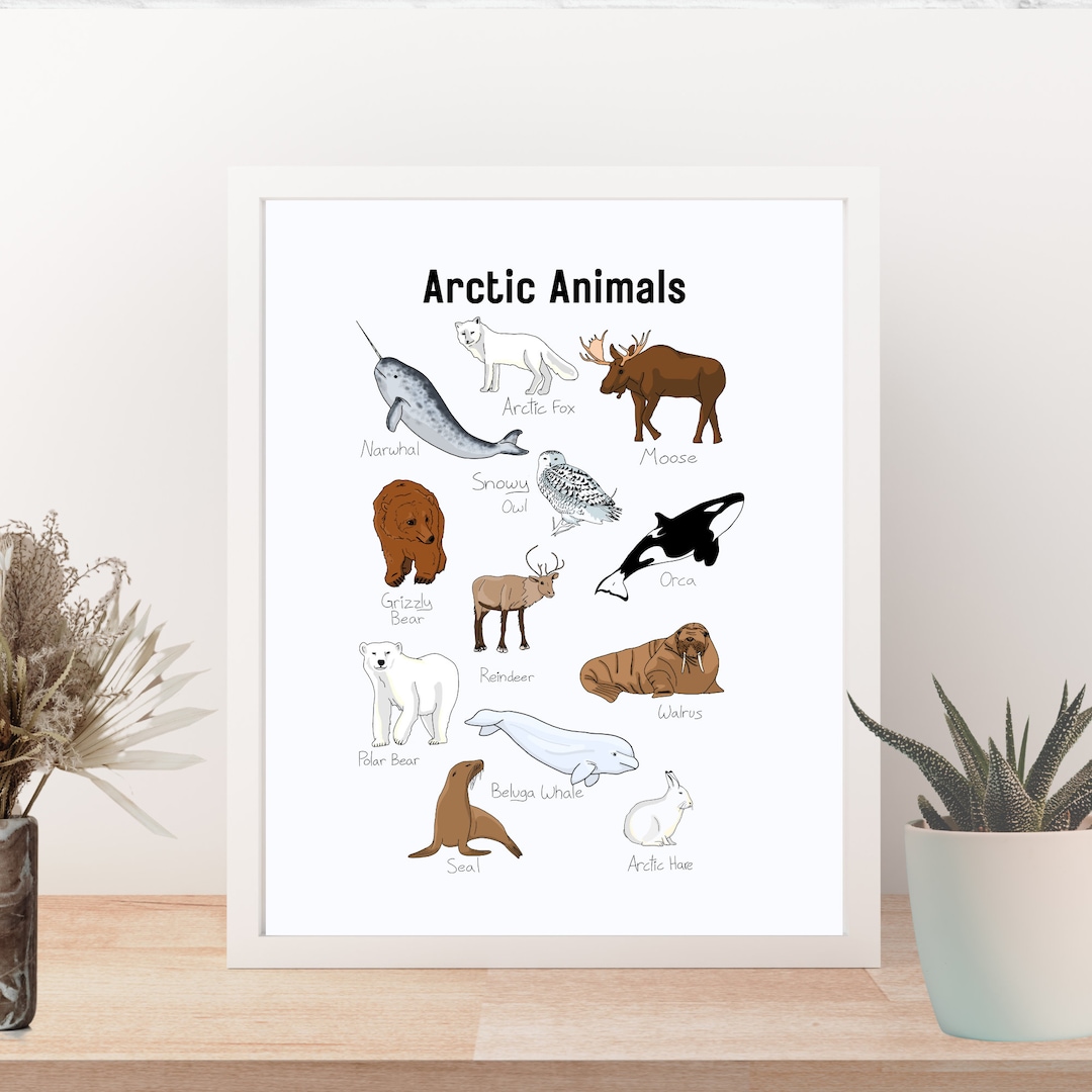 Arctic Animals Poster for Classroom or Homeschool Decor, Arctic Tundra ...