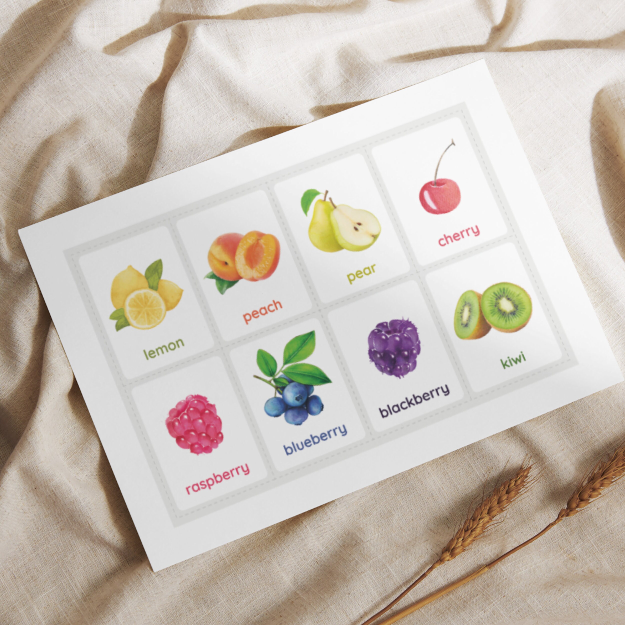 Watercolor Fruits Flash Cards, Bilingual Vocabulary, English Flash ...