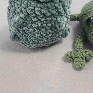 Plush Cheeky Frog medium - Etsy