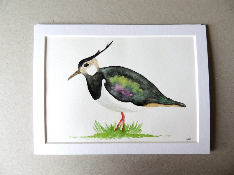 Lapwing, Original Watercolour, Bird Painting - Etsy
