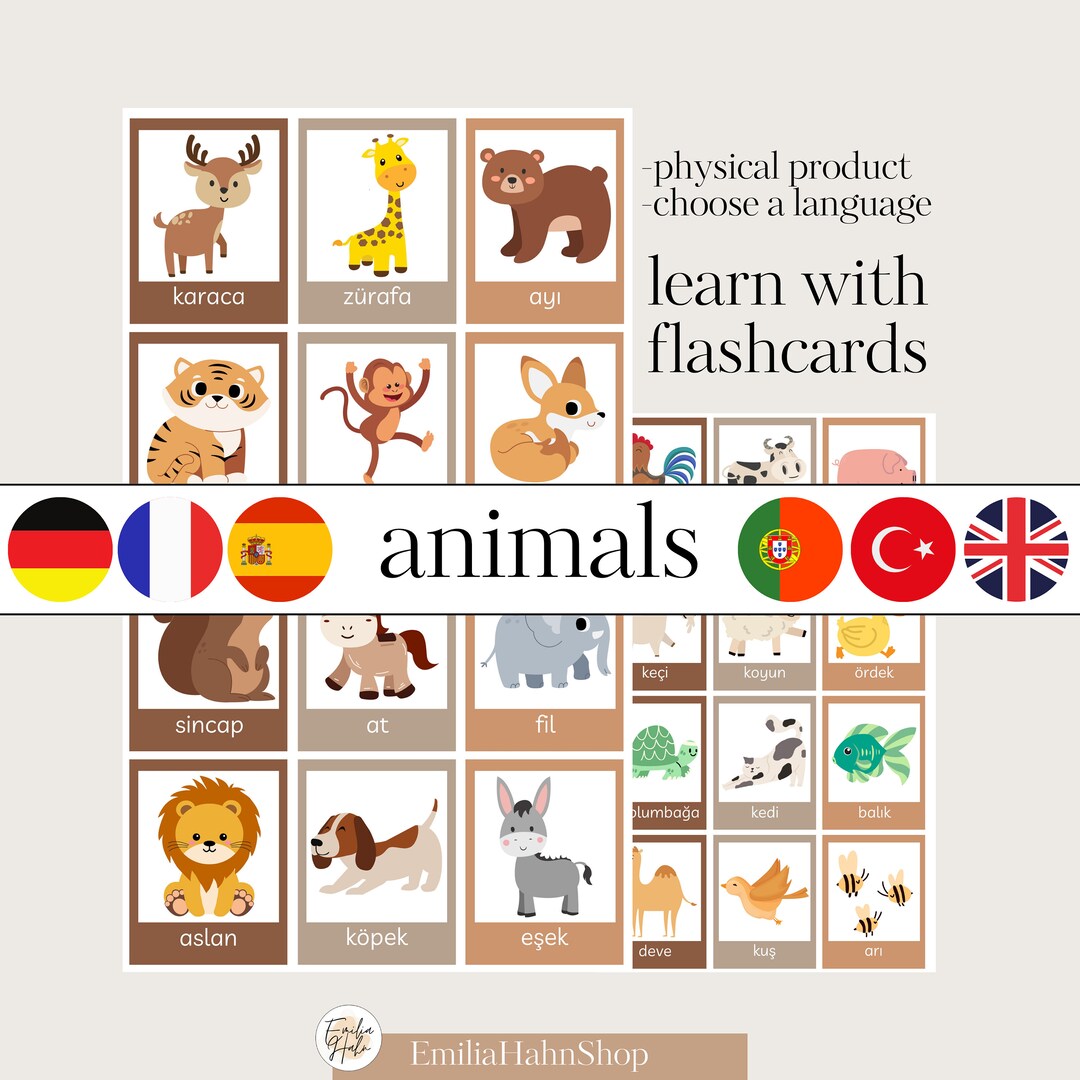 Animal Vocabulary Flashcards, Languages, Learning, School, at Home ...