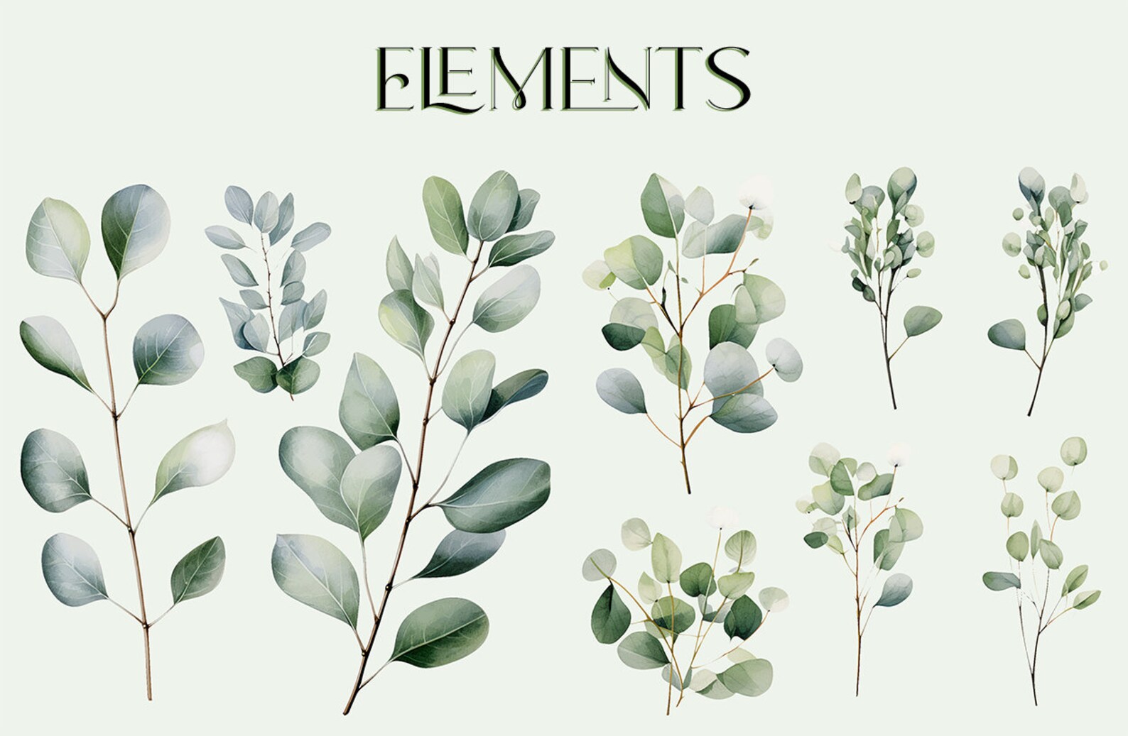 Eucalyptus Clipart Bundle Watercolor Greenery Clipart - Etsy