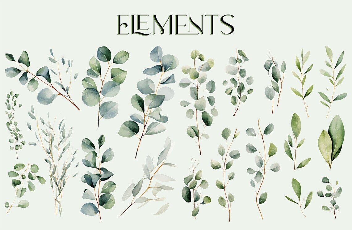 Eucalyptus Clipart Bundle Watercolor Greenery Clipart - Etsy