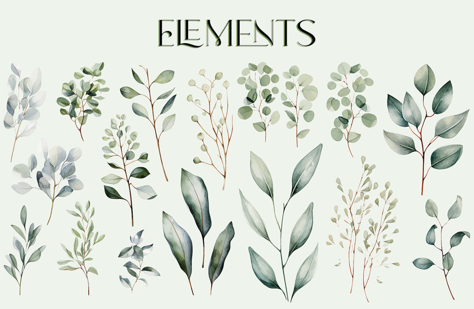 Eucalyptus Clipart Bundle Watercolor Greenery Clipart - Etsy