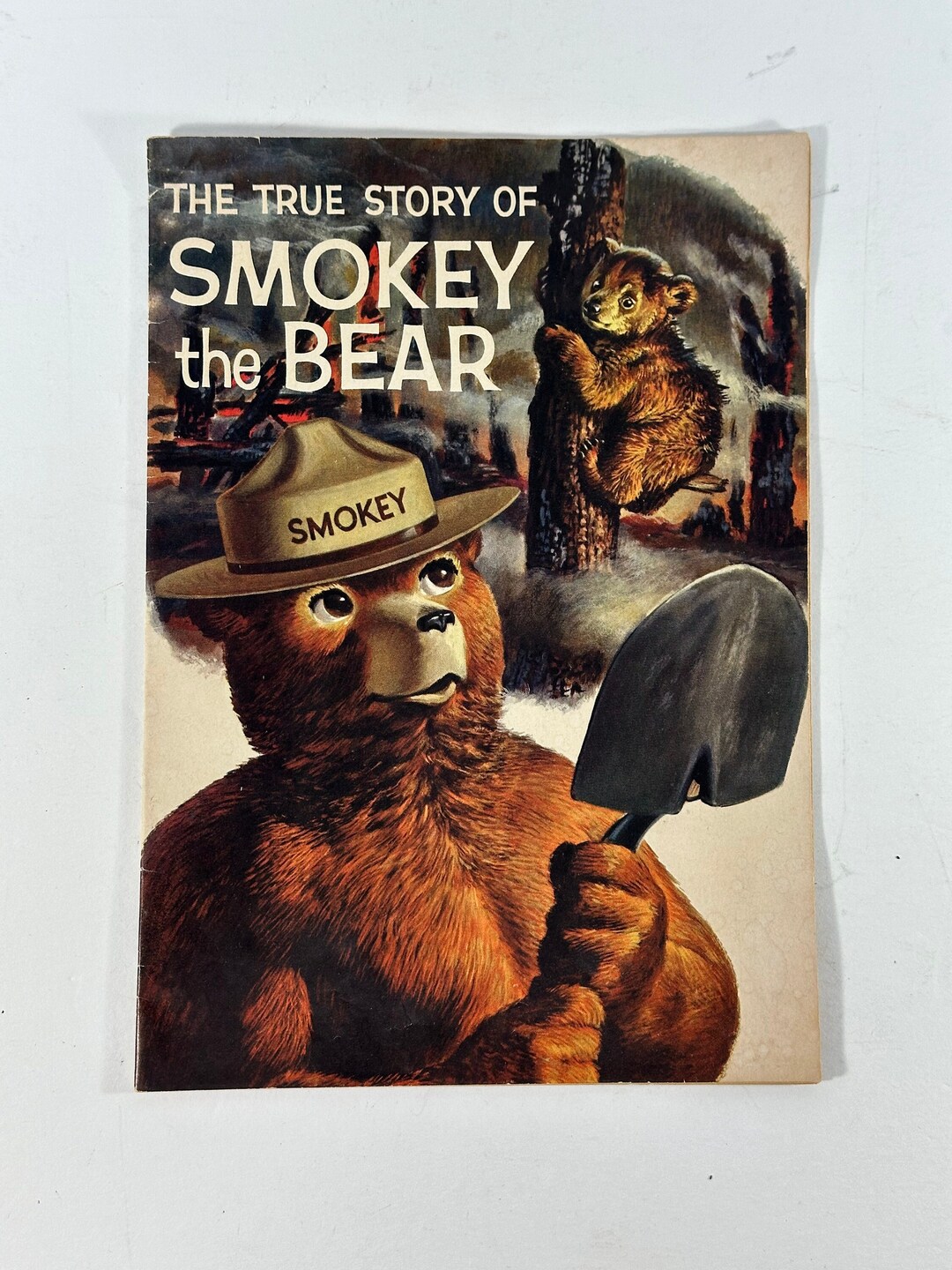 1960 "the True Story of Smokey the Bear" Comic Book - Etsy