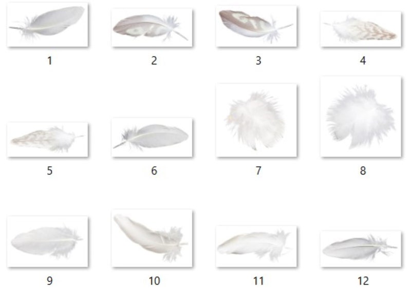 79 White Feathers Overlays, Floating Feathers, Photo Effect, Photoshop ...