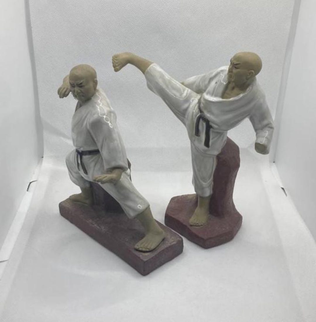 Masters of the Dojo, Circa 1970s - Etsy