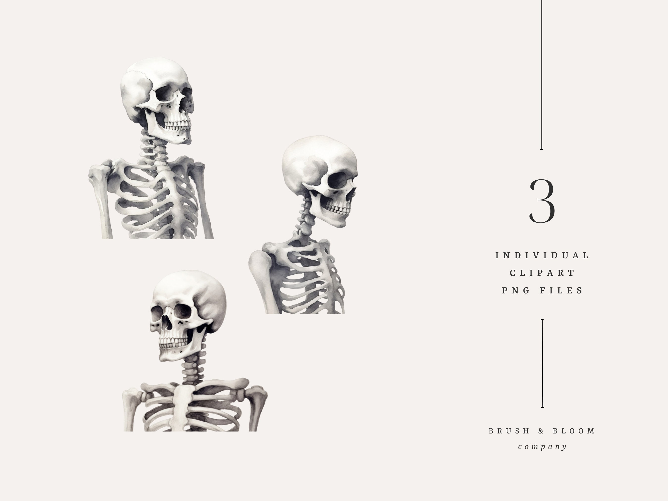 Halloween Skeletons Watercolor Clipart, Fall Png - Etsy