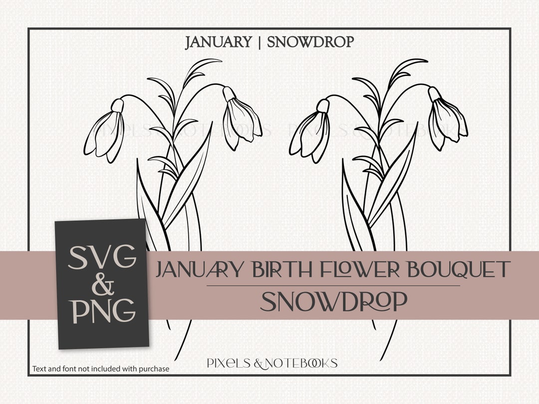 Snowdrop January Birth Flower SVG | Birth Month Flower Bouquet Svg PNG ...