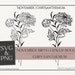 Chrysanthemum Svg November Birth Flower Birth Month Flower Bouquet SVG ...