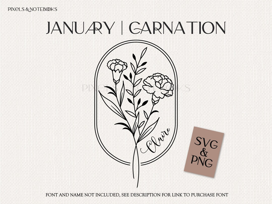 January Carnation Birth Month Flower Bouquet Frame SVG PNG Digital ...