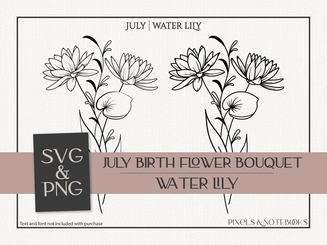 Water Lily Svg July Birth Flower Birth Month Flower Bouquet SVG PNG ...