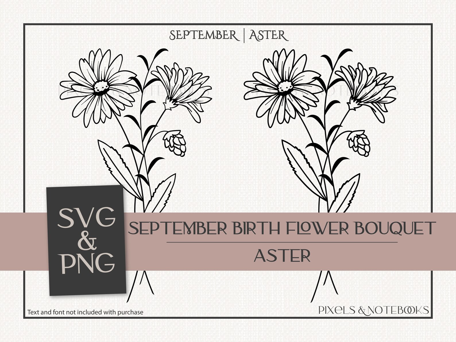Aster SVG | September Birth Flower | Birth Month Flower Bouquet SVG PNG ...