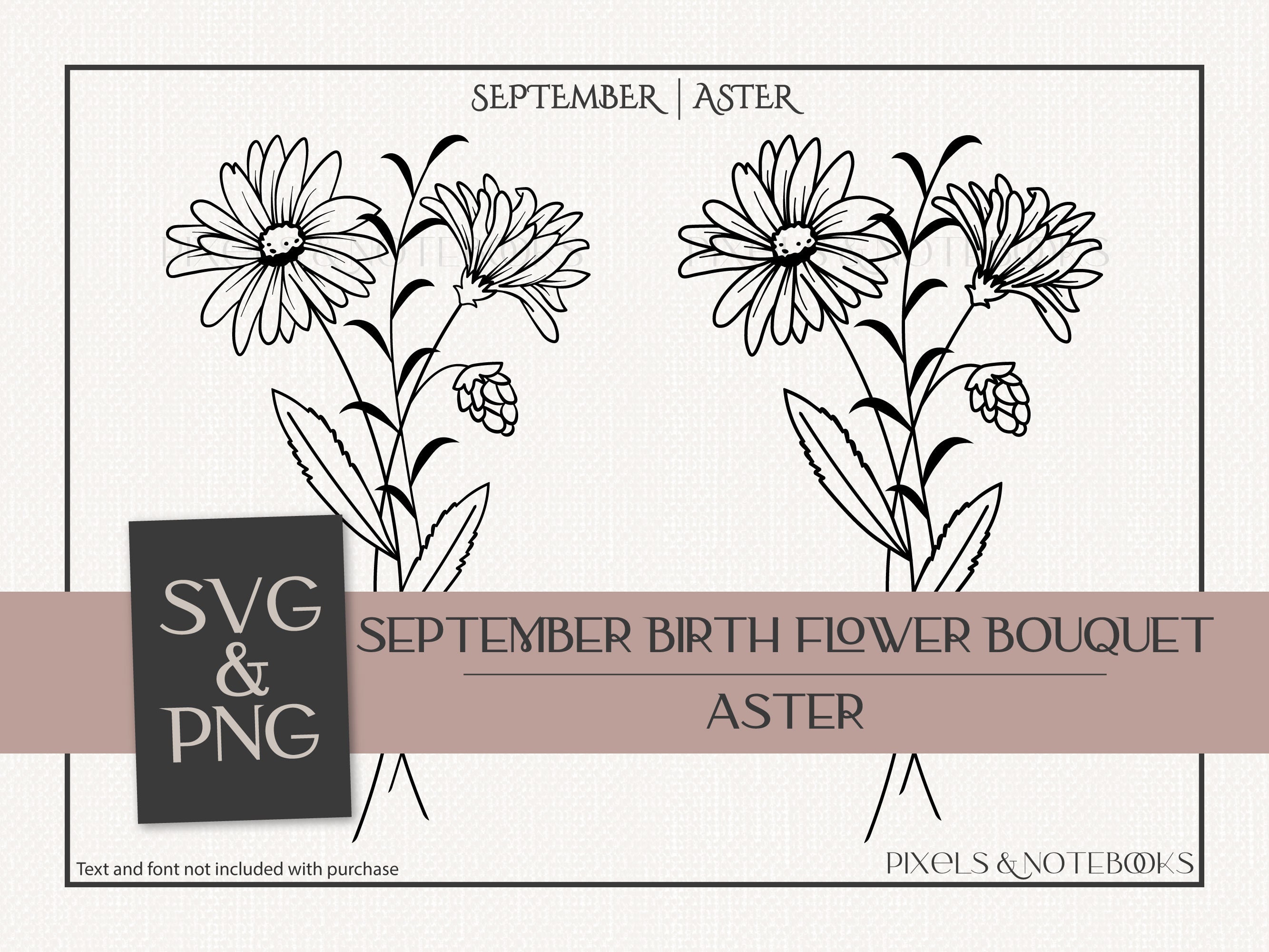 Aster SVG | September Birth Flower | Birth Month Flower Bouquet SVG PNG ...