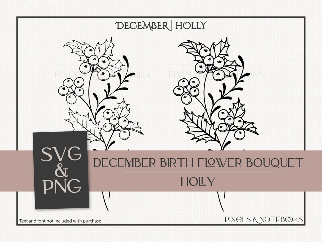 Holly December Birth Flower Bouquet SVG PNG: Hand-drawn Floral Clipart ...