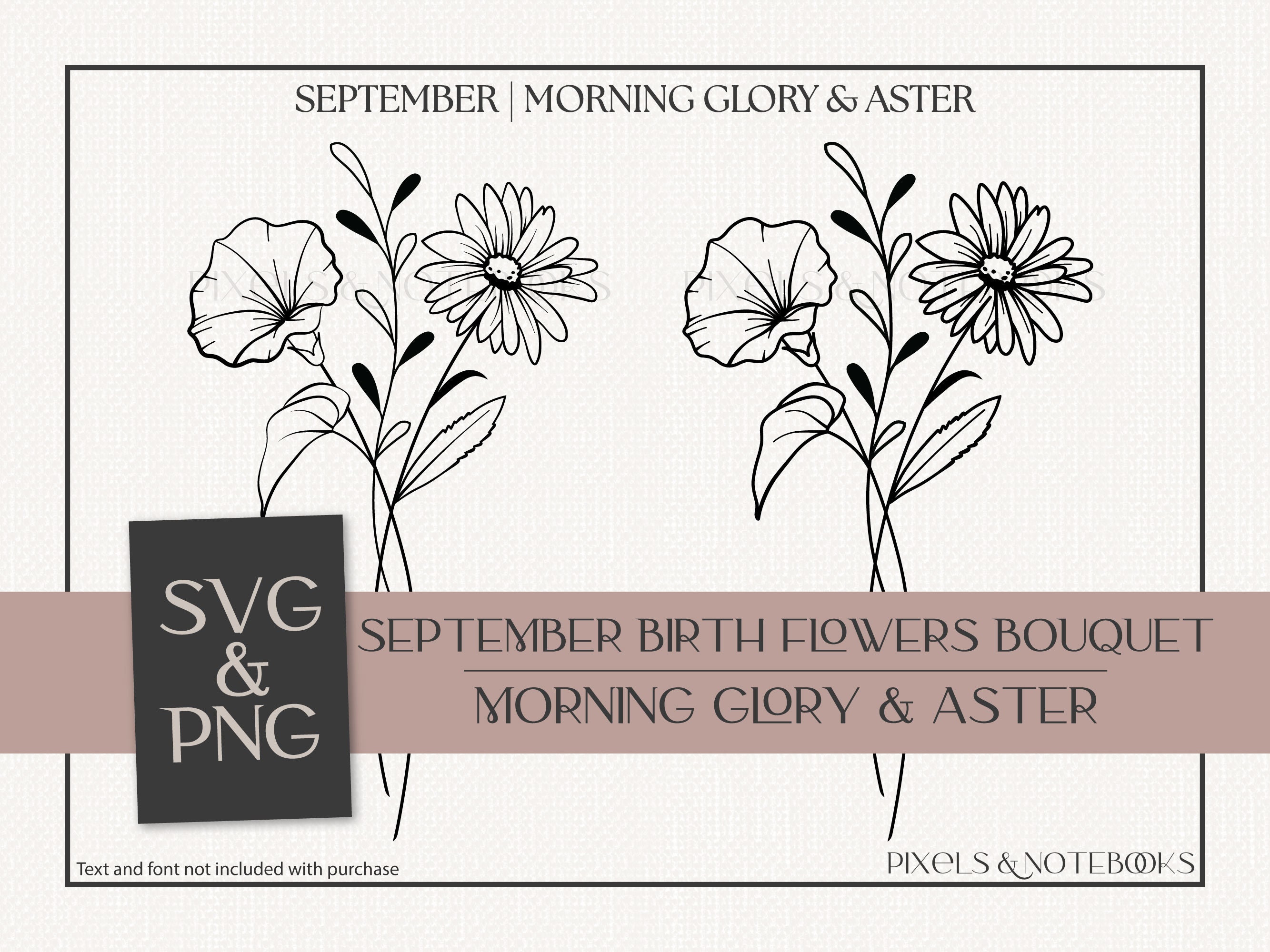 September Birth Flower Bouquet: Morning Glory & Aster SVG PNG (digital ...