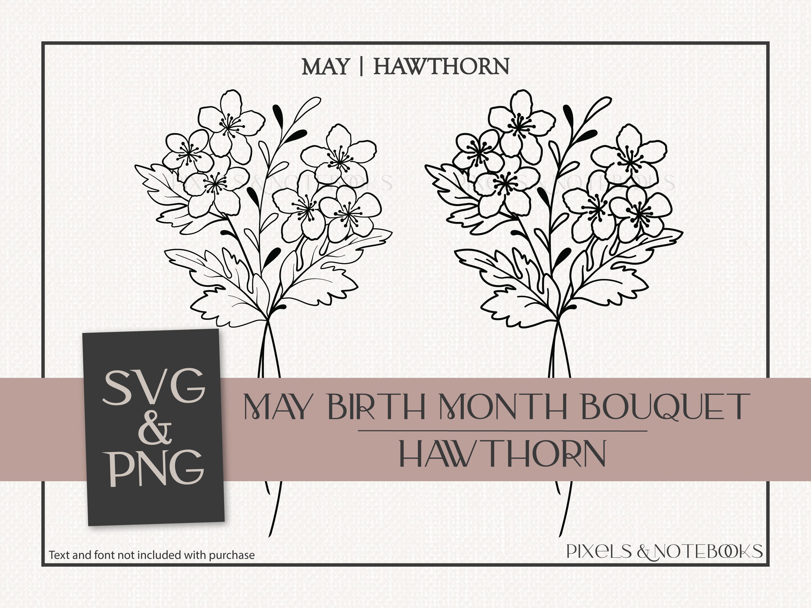 Hawthorn Vector Svg May Birth Flower Birth Month Flower - Etsy